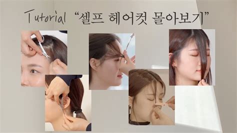 차홍뷰티 한 번에 보는 다양한 셀프 헤어컷 튜토리얼💇🏻 사이드뱅 앞머리 잔머리 애교머리 헤어라인 보정컷 Youtube