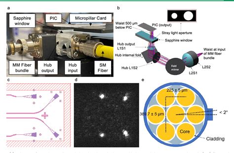 Figure 1 From A Multiplex “disposable Photonics” Biosensor Platform And