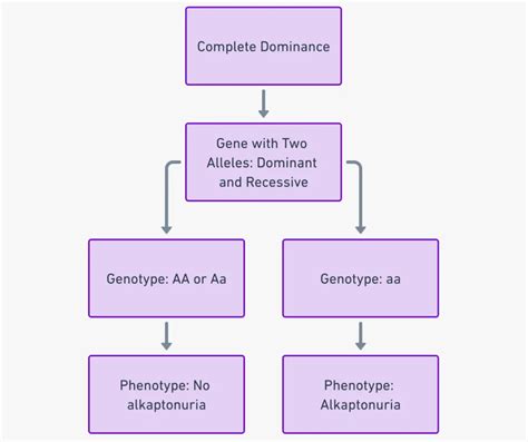 gene interaction definition types examples importance biology