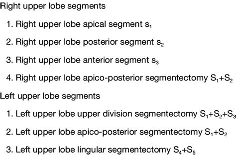 Robotic Pulmonary Segmentectomies Download Scientific Diagram