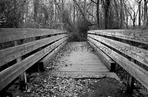 Hidden Bridge In The Woods