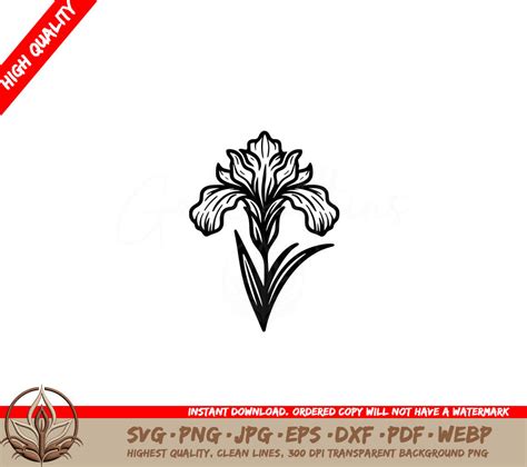 Iris Silhouette Digital Product Svg Gabe Atkins Designs