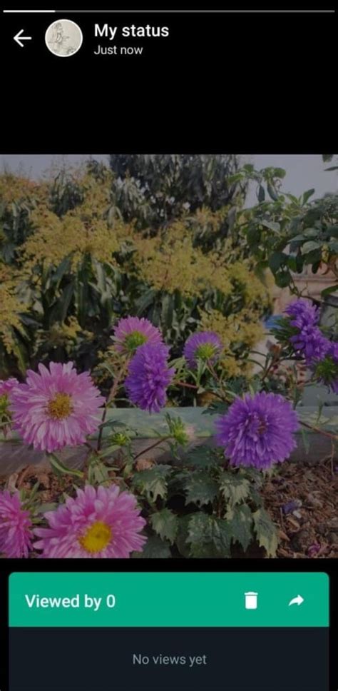 How To Hide Name In Whatsapp Techcult