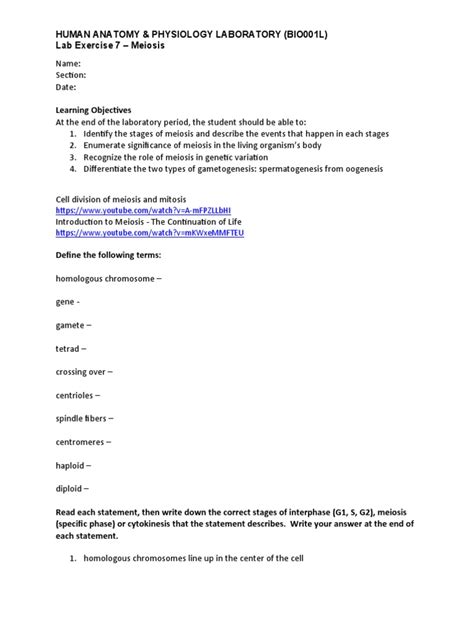 Lab Exercise 7 Meiosis Pdf Meiosis Chromosome