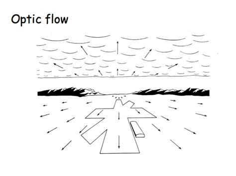 C How To Track Any Moving Object With A Non Static Camera Opencv Stack Overflow