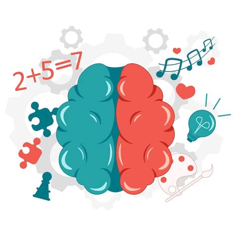 Premium Vector Right And Left Hemispheres Of The Brain Left Logic And