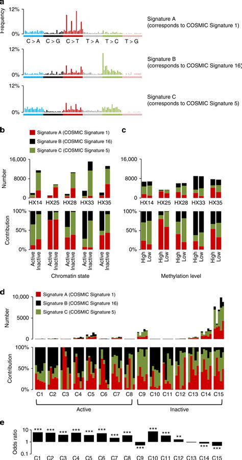Mutation Signature Analysis Of Five Hepatocellular Carcinoma Samples In Download Scientific