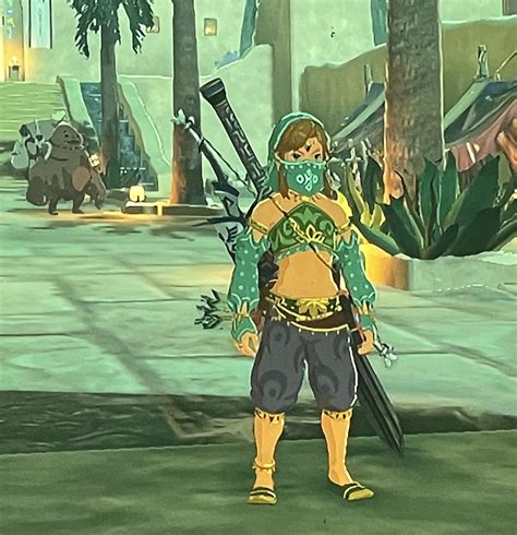 Stupid Sexy Link R Botw