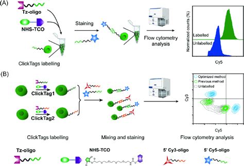 clicktag labelling and sample multiplexing detected by flow cytometry
