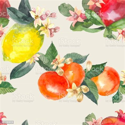 격리 된 손으로 그린 오렌지 석류 레몬과 밝은 배경에 스케치 스타일 꽃의 수채화 완벽 한 패턴입니다 수채화에 대한 스톡 벡터 아트 및 기타 이미지 Istock