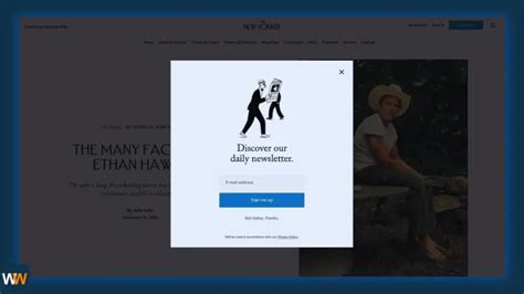 10 Best Wordpress Lightbox Plugins For Your Site In 2024