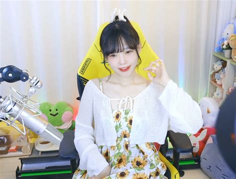 서새봄 오늘자 방송 공지 치지직 에펨코리아