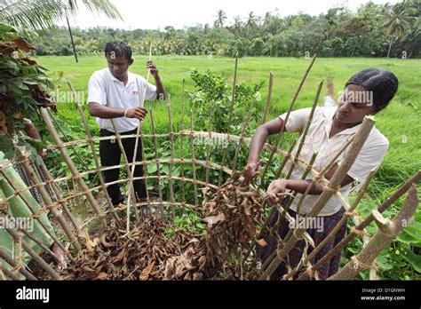 Compost Bin Price In Sri Lanka At Stella Prell Blog