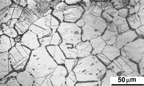 What Is Intergranular Corrosion Of Stainless Steel？ Deze Technology Co Ltd