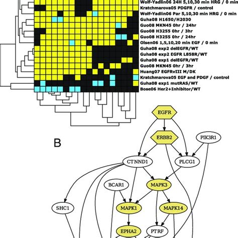 Bayesian Network Modeling Of Phosphorylation Data From The Current