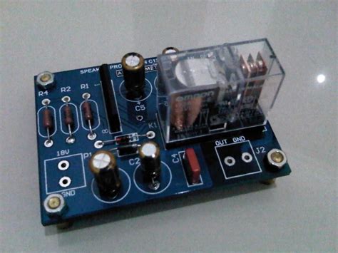 Inside Aphinx Speaker Protector