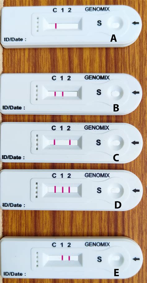 Figure Showing The Reading Pattern Of Rdt Kit Download Scientific Diagram