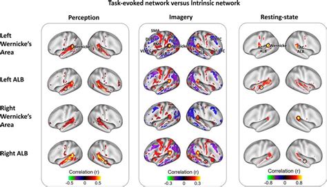 Task Evoked Cortical Network Versus Intrinsic Network The