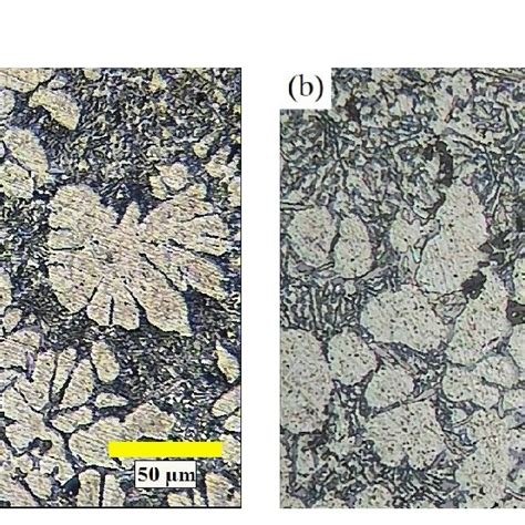 Microstructure Of Eutectic Matrix Of A Stirred 450 Rmin 660 °c 570