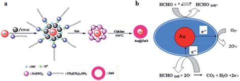 A Schematic Of The Formation Of Auzno B Scheme For Detection Of Download Scientific