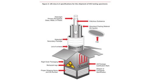 Hiv Clinical Manifestations Diagnostic Criteria And Samplingpdf