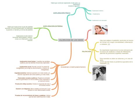 Valoracion De Los Oidos Coggle Diagram