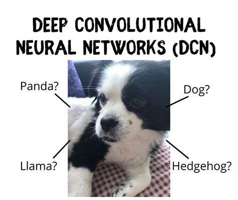 Explicación De Las Redes Neuronales Convolucionales Cómo Clasificar
