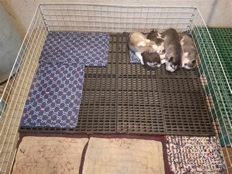 Kaya Mo Ba ‘to 😋 R Pangetperomasarap