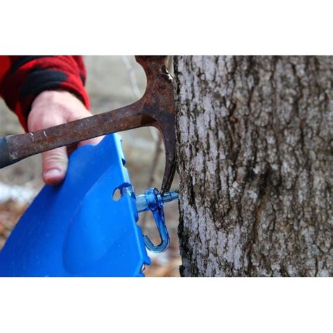 Birch Maple Sap Collecting Kit