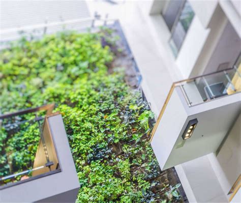 university of guelph humber