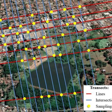 Design Based On Linear Transect With Projected Perpendicular Distances