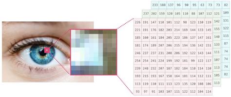 A Visual Intro To Numpy And Data Representation Machine Learning