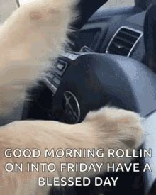 Funny Friday Meme S Tenor