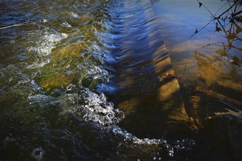 картинки море дерево воды природа камень Солнечный лучик лист волна цветок река Пруд