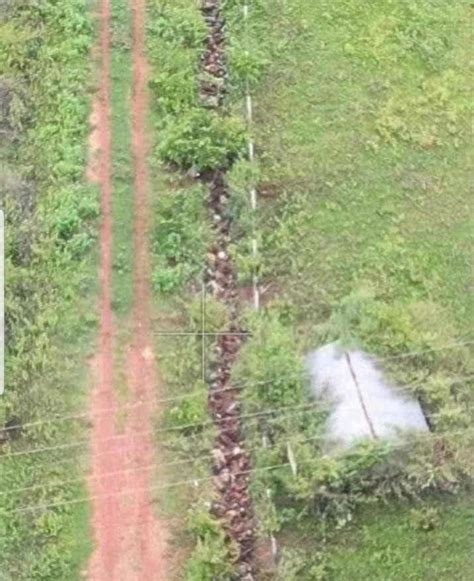 Myanmar Army Soldiers Hiding From A Drone Rmyanmarcombatfootage