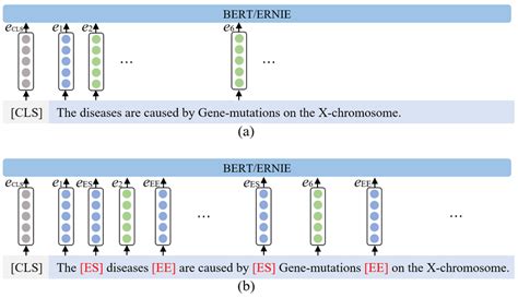 The Difference Between The Common Input Sequence And The Enhanced Input