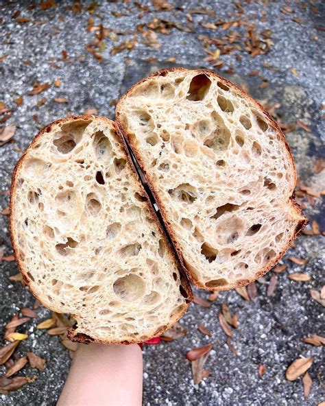 The Science Behind The Holes In Bread A Deeper Look Into Fermentation