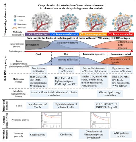 Overview Of Characteristics Of Comprehensive Characterization Of Download Scientific Diagram