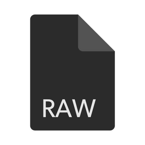 Raw File File Extension Format Icon Free Download