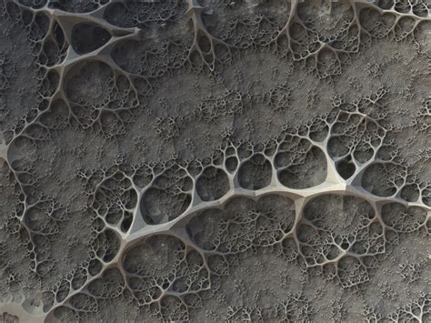 Branches By Bunnywithrose Deviantart Com On DeviantART Deviantart Branch Fractals