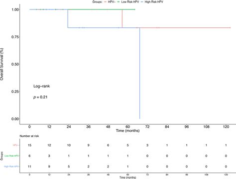 Overall Survival By Hpv High‐risk Subtype Hpv Low‐risk Subtype And Download Scientific