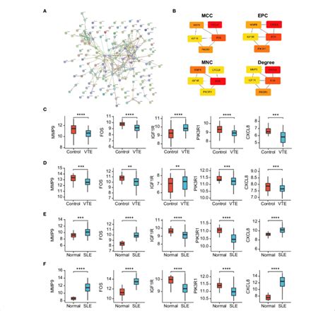 Ppi Network And Gene Expression Validation Analysis A Ppi Network Of Download Scientific