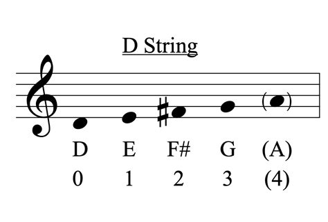 Violin D String Notes At Eileen Porras Blog