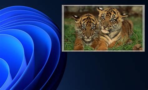 How To Add An Overlapping Photo To Windows S Desktop Wallpaper