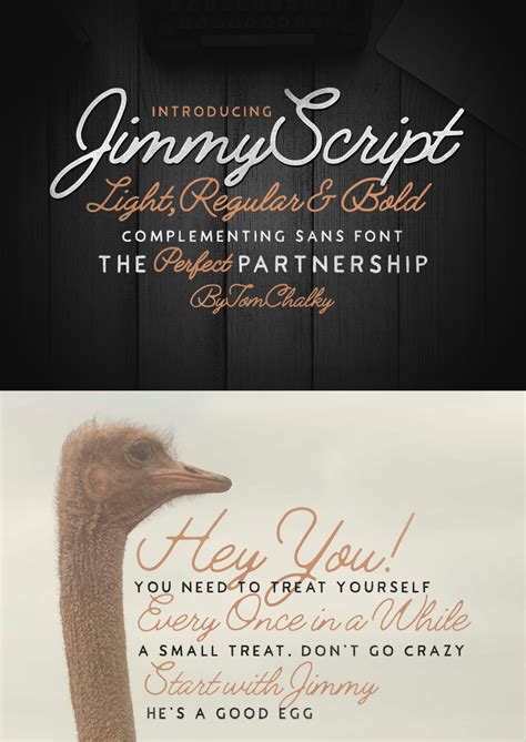 Jimmy Script Font Free Dafont Free