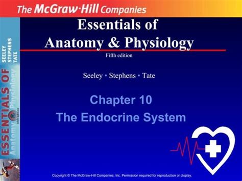 The Endocrine System Pptx