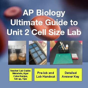 AP Biology Unit Ultimate Guide To Cell Size Lab By Naturalist S Diary