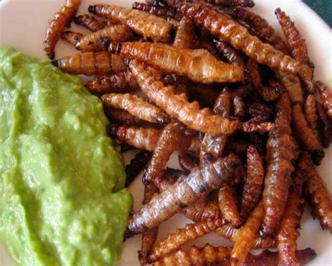 8 Insectos Comestibles Que Puedes Probar En La Ciudad De México