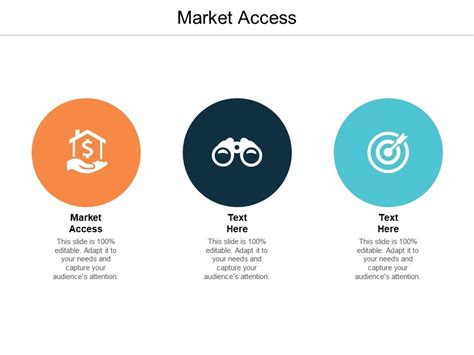 Market Access Ppt Powerpoint Presentation Professional Tips Cpb