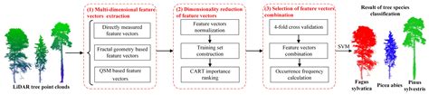 Tree Species Classification Using Optimized Features Derived From Light Detection And Ranging